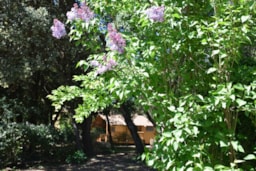 Naturist campsite in Provence - South of France | Bélézy Domain