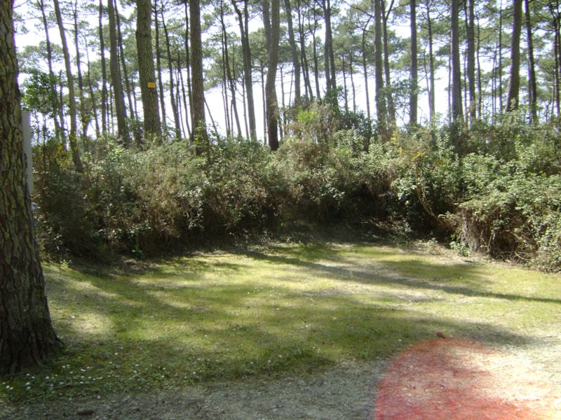 Camping Naturiste Arnaoutchot : Lire les 1960 avis