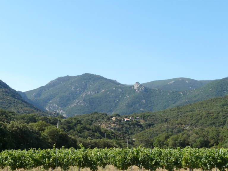 Camping Le Rancho : voir les vidéos | Camping Street View