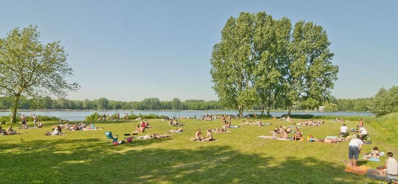 Delftse Hout | Boek nu uw camping online!